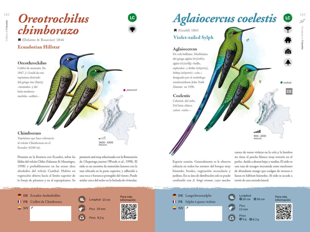 Guía ilustrada de colibríes de Colombia - Colombia Ilustrada
