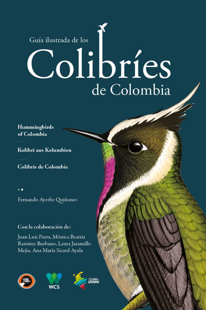 Colibríes de Colombia - Colombia Ilustrada