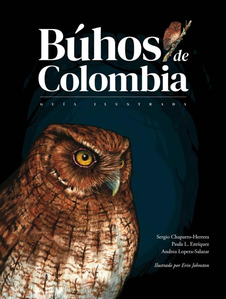 Búhos de Colombia - Colombia Ilustrada